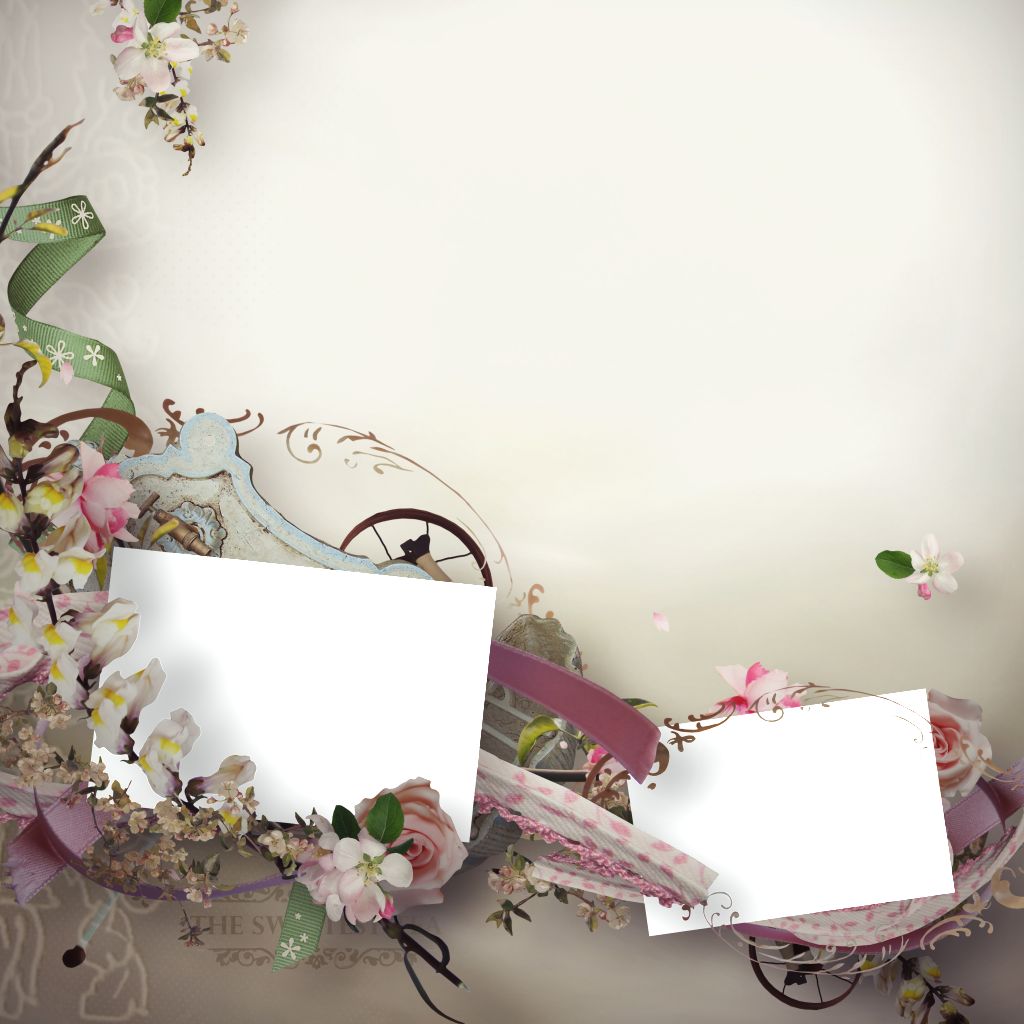 Photo Album Background Box - Garden Roses - Free Transparent PNG ...