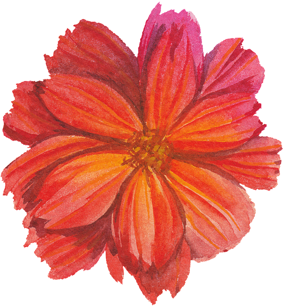 Download Red Flower Watercolor Transparent Flower - Flower PNG Image ...