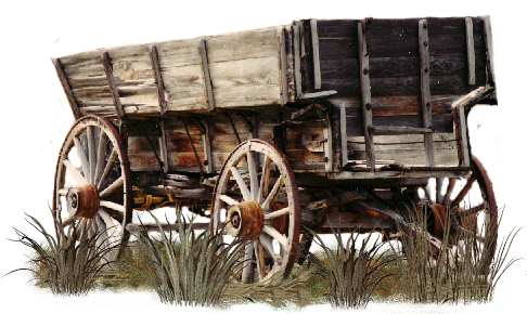 Download Ws-18 - Western Png PNG Image with No Background - PNGkey.com