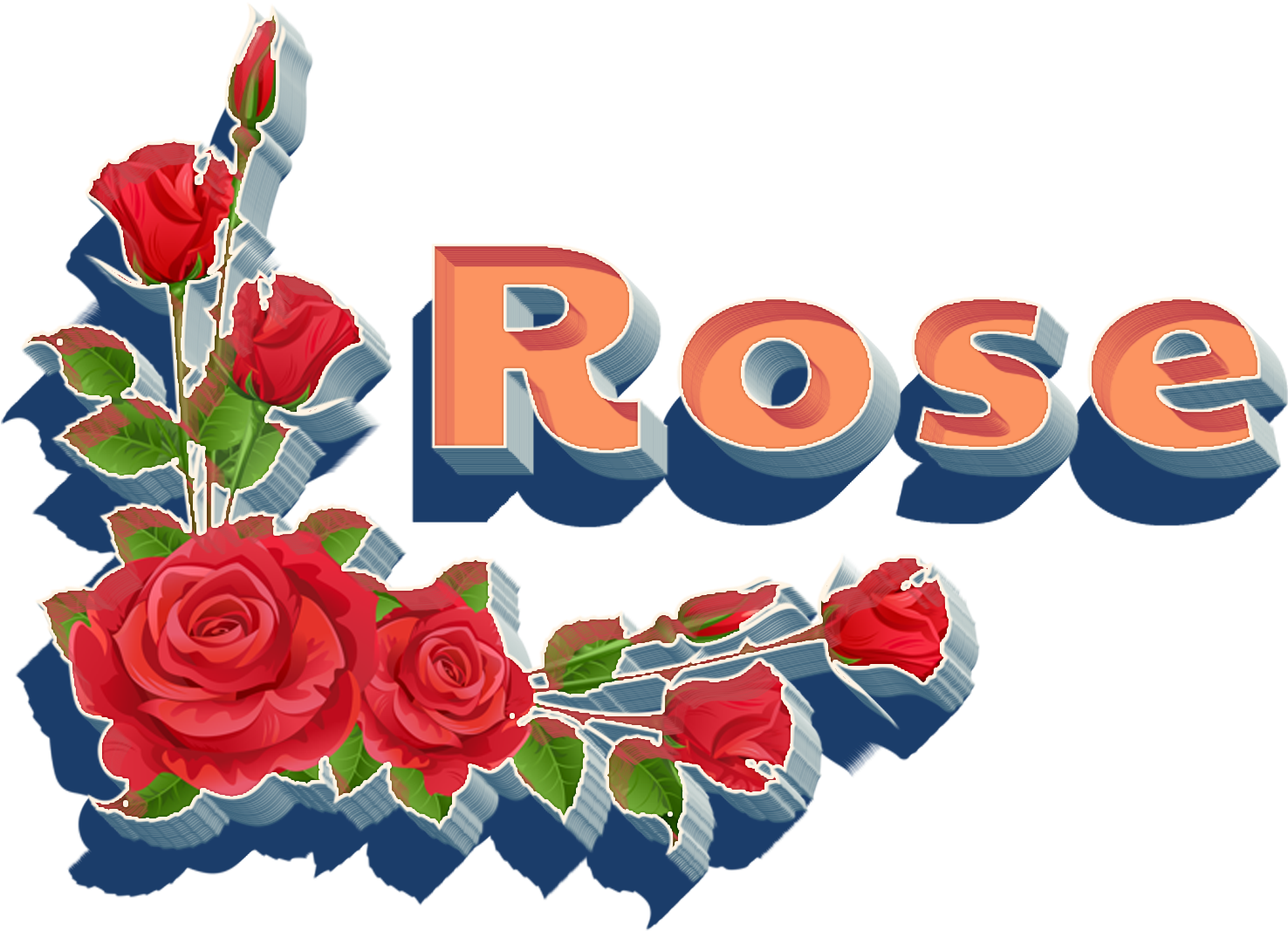 Garden Roses - Free Transparent PNG Download - PNGkey