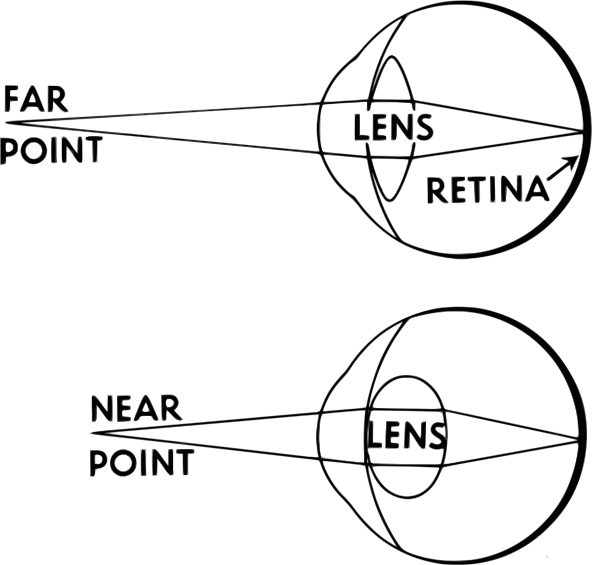 Download Accommodation Eye PNG Image with No Background - PNGkey.com