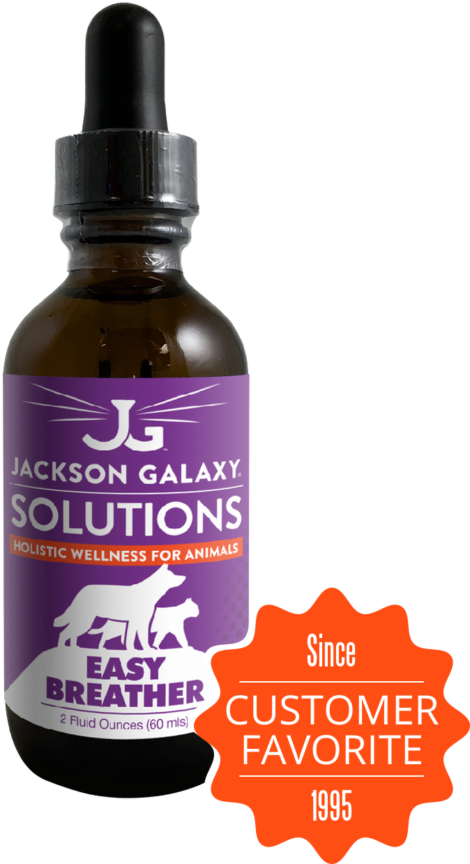 Download Jackson Galaxy Solutions - Jackson Galaxy Solutions Easy ...