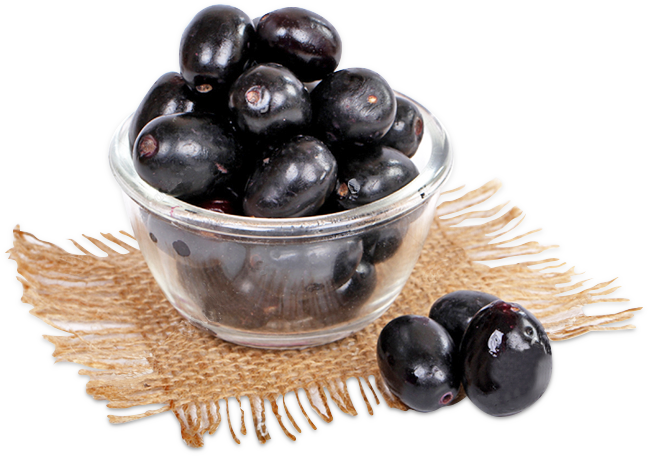 Download Jamun - Jamun Fruit Vector PNG Image with No Background ...