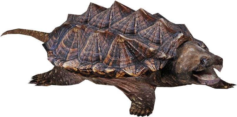 Snapping Turtle Logo