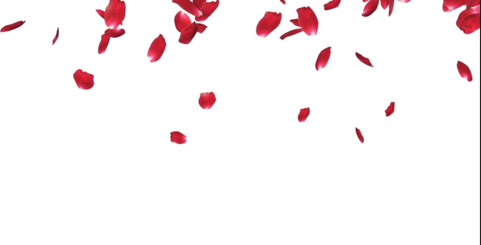 Download Rose Petals Png Pic - Rose Petals Png PNG Image with No ...