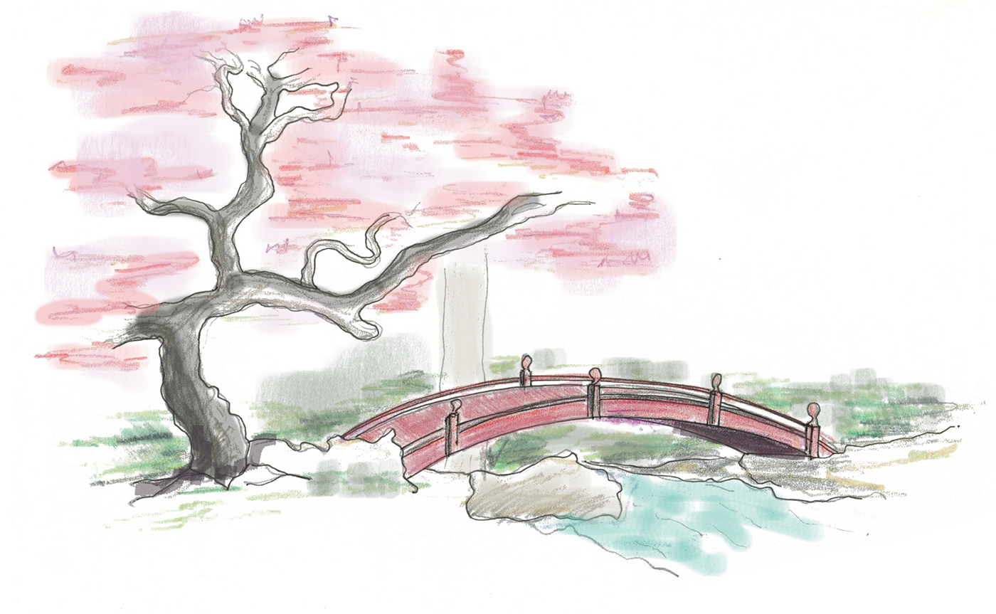 Japanese Maple Bridge Crossing On Meditation Walk - Tree - Free ...