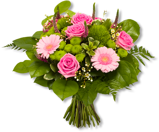 Guldasta Png - Happy Birthday Boss Wishes Quotes - Free Transparent PNG ...