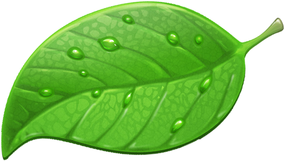 Download Leaf - Pan Leaf Logo Png PNG Image with No Background - PNGkey.com