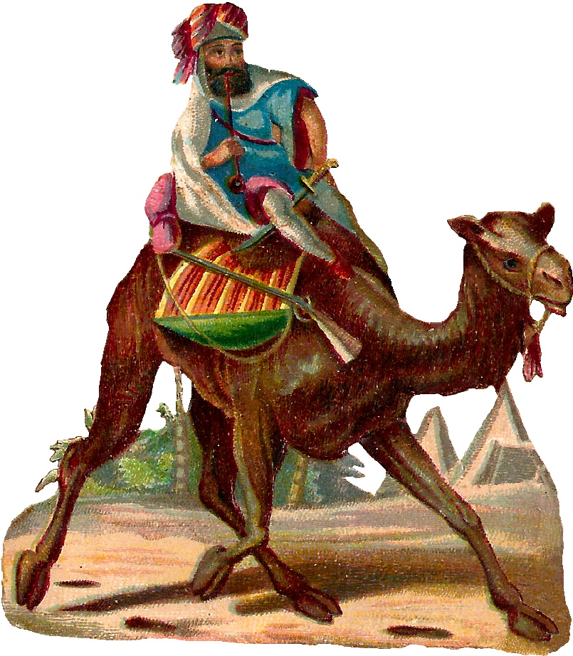 Download Camel Rider Image - Camel Rider Art PNG Image with No ...