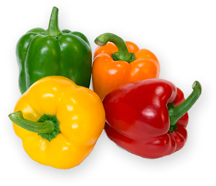 Download Fresh Capsicum - Bell Pepper With Scientific Name PNG Image ...