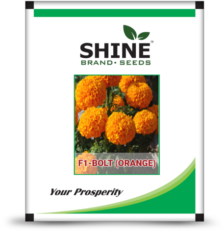 Download Hybrid Marigold Seeds - Marigold Pack PNG Image with No ...