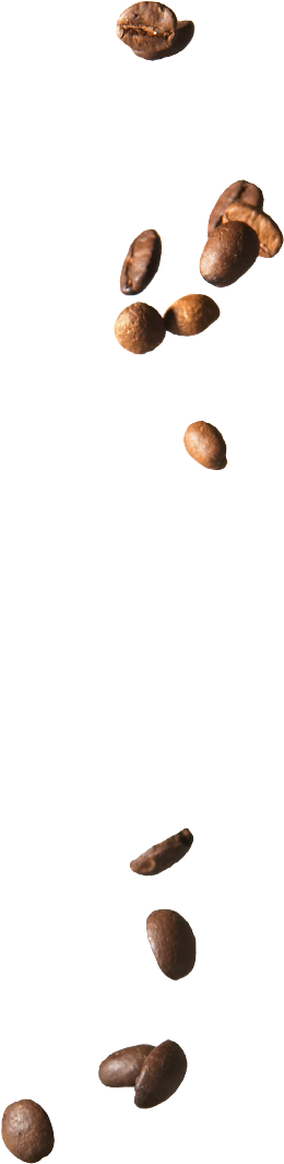 Download Falling Coffee Beans PNG Image with No Background - PNGkey.com