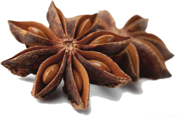 Star Anise Seeds - Анис Png - Free Transparent PNG Download - PNGkey