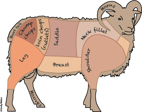 Meat - Ram Meat - Free Transparent PNG Download - PNGkey