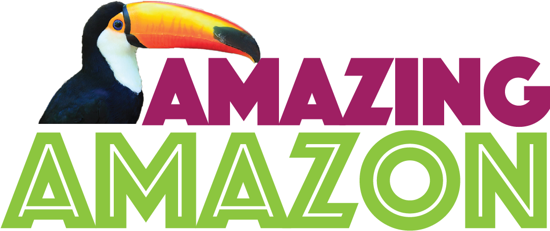 Download Free-flight Bird Shows - The Great Amazon Adventure Rally PNG ...