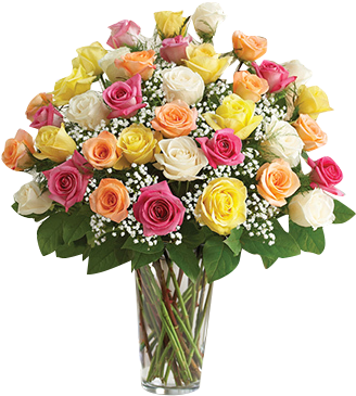 Download Color Me Pretty Roses In Houston, - Ultimate Elegance Long ...