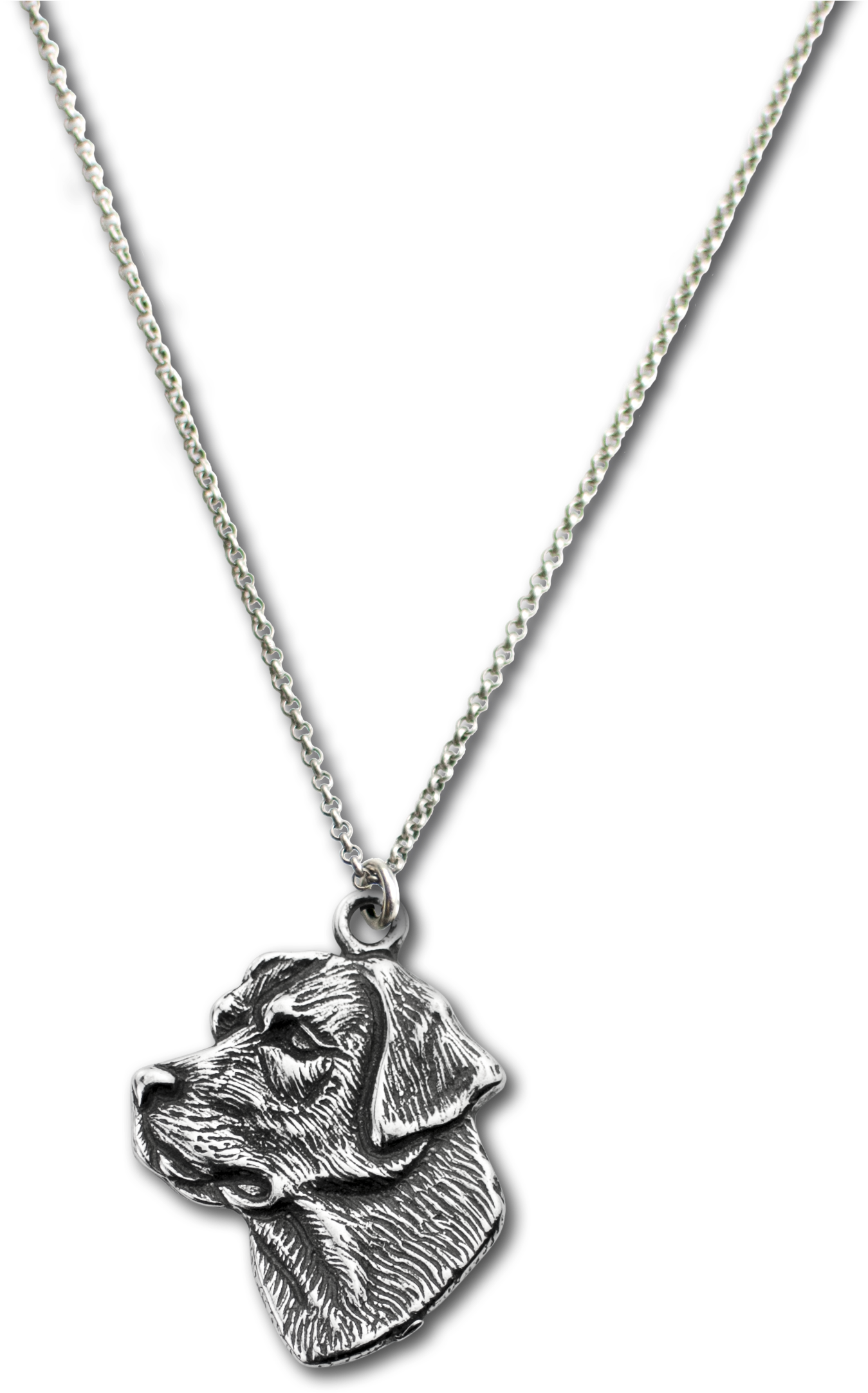 Download Labrador Charm On Rolo Chain - Setter PNG Image with No ...