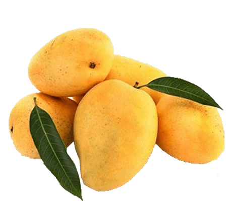 Banganapalli Mango - Natural Mango - Free Transparent PNG Download - PNGkey