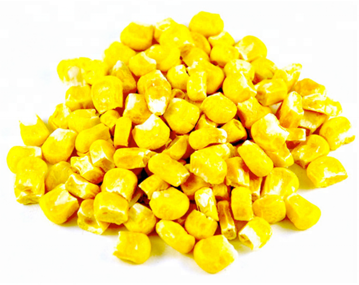 Download Sweet Corn Factory, Sweet Corn Factory Suppliers And - Product ...