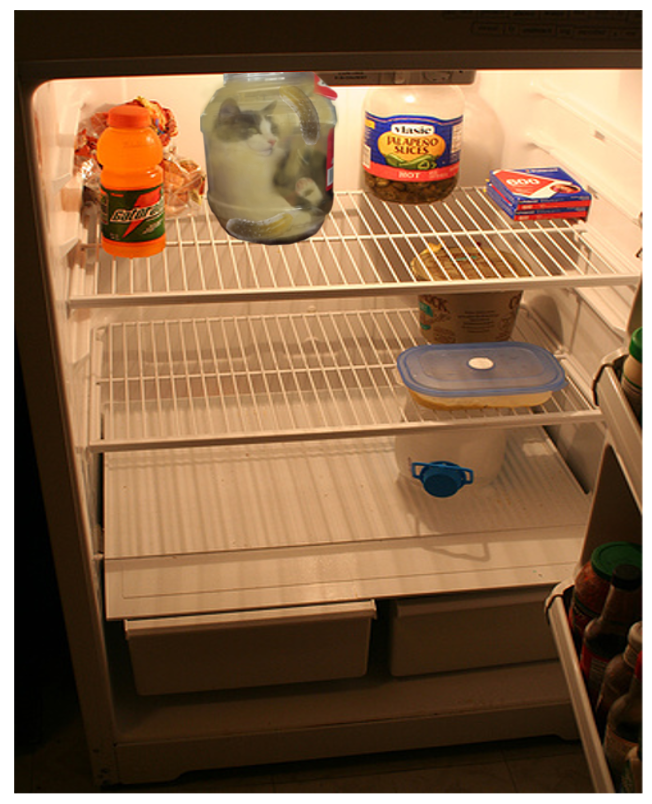 Download Who The Hell Left Angie In The Fridge Http - Empty Fridge PNG ...
