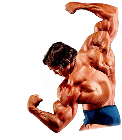 Download Bodybuilding Transparent Background - Body Builder Arm Png PNG ...