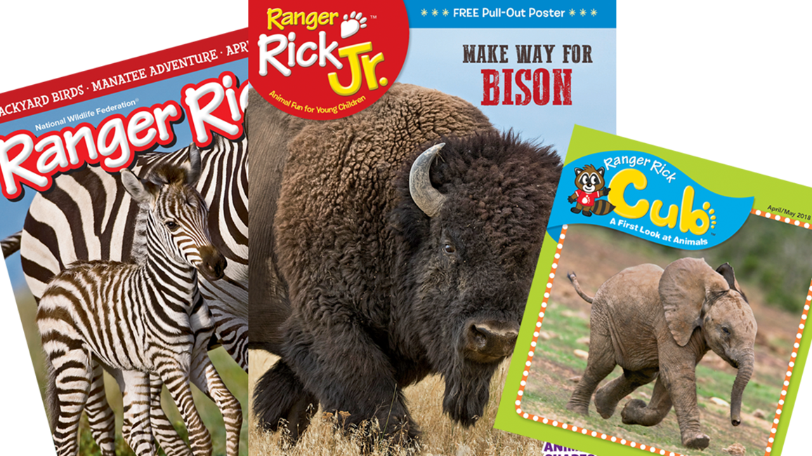 Download Ranger Rick Jr. - One Year Subscription PNG Image with No ...