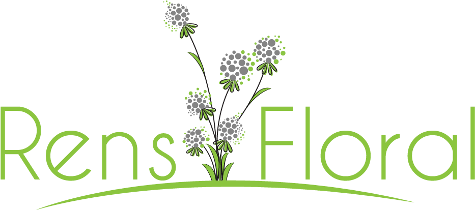 Download Rak PNG Image with No Background - PNGkey.com