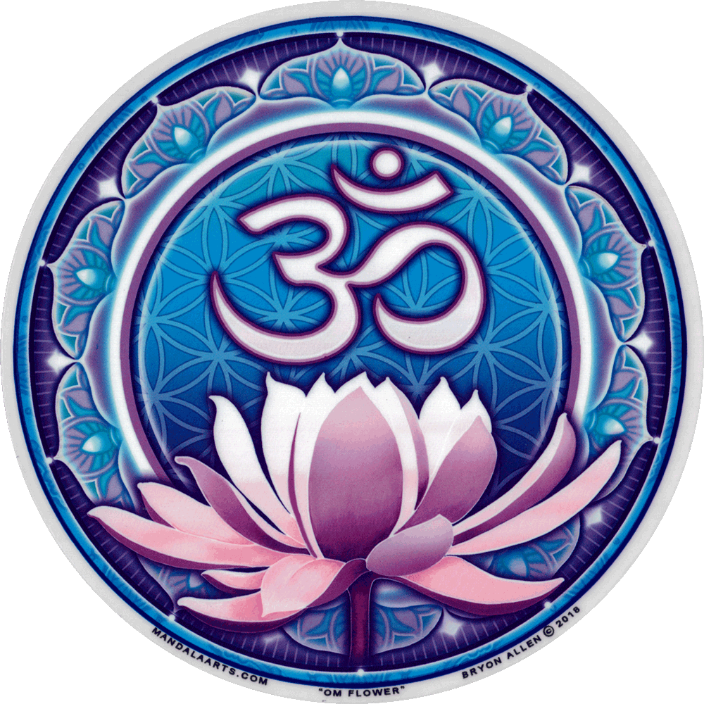 Download Window Sticker / Decal - Sticker PNG Image with No Background ...