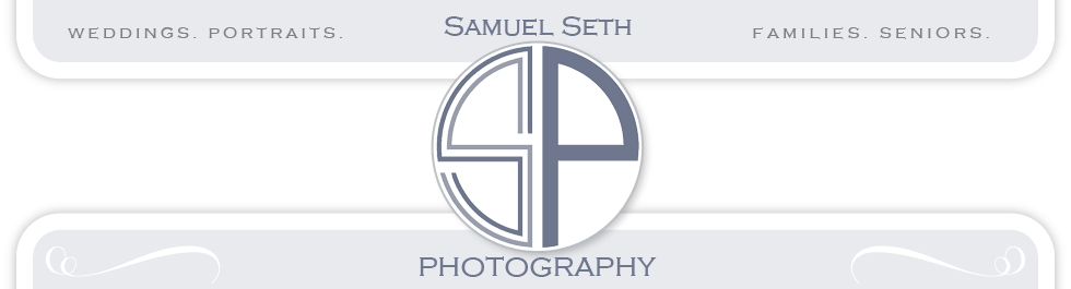Download Houston Wedding And Portrait Photography Samuel Seth - Houston ...