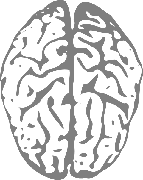 Download Small - Animated Brain PNG Image with No Background - PNGkey.com
