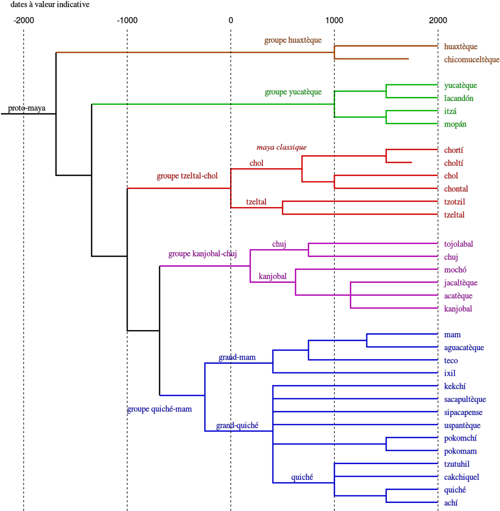 Download Tree Of Maya Languages - Proto Maya PNG Image with No ...