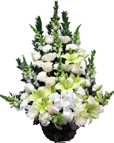 Download Eternal Light Arrangement - Light PNG Image with No Background ...