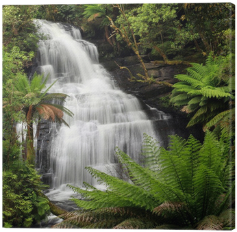 Download Tropical Wet Green Forest In India PNG Image with No ...