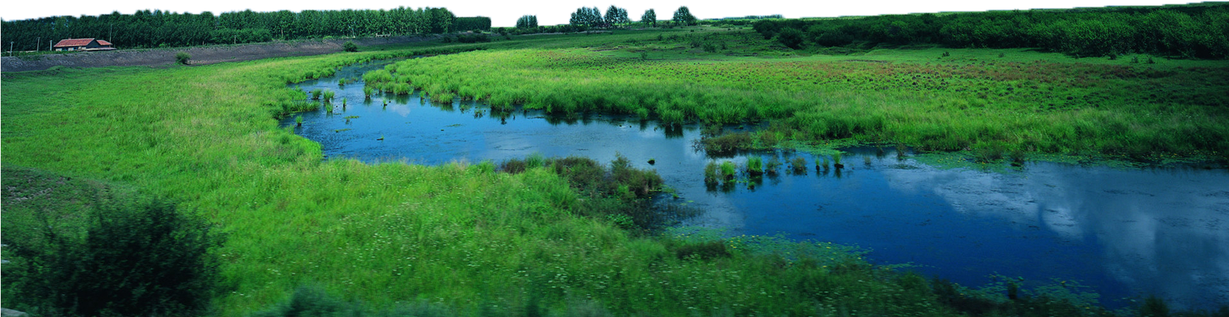 Water River Png - Field Forest Transparent - Free Transparent PNG ...