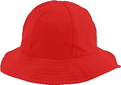 Download Red Front - Redback Spider PNG Image with No Background ...