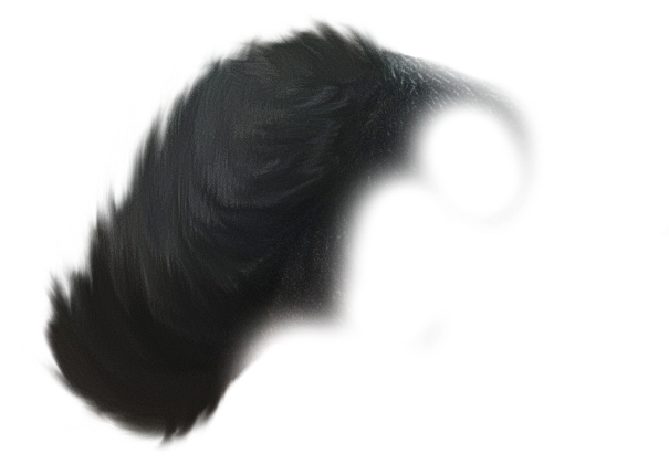 Download Hair Png - Hair PNG Image with No Background - PNGkey.com