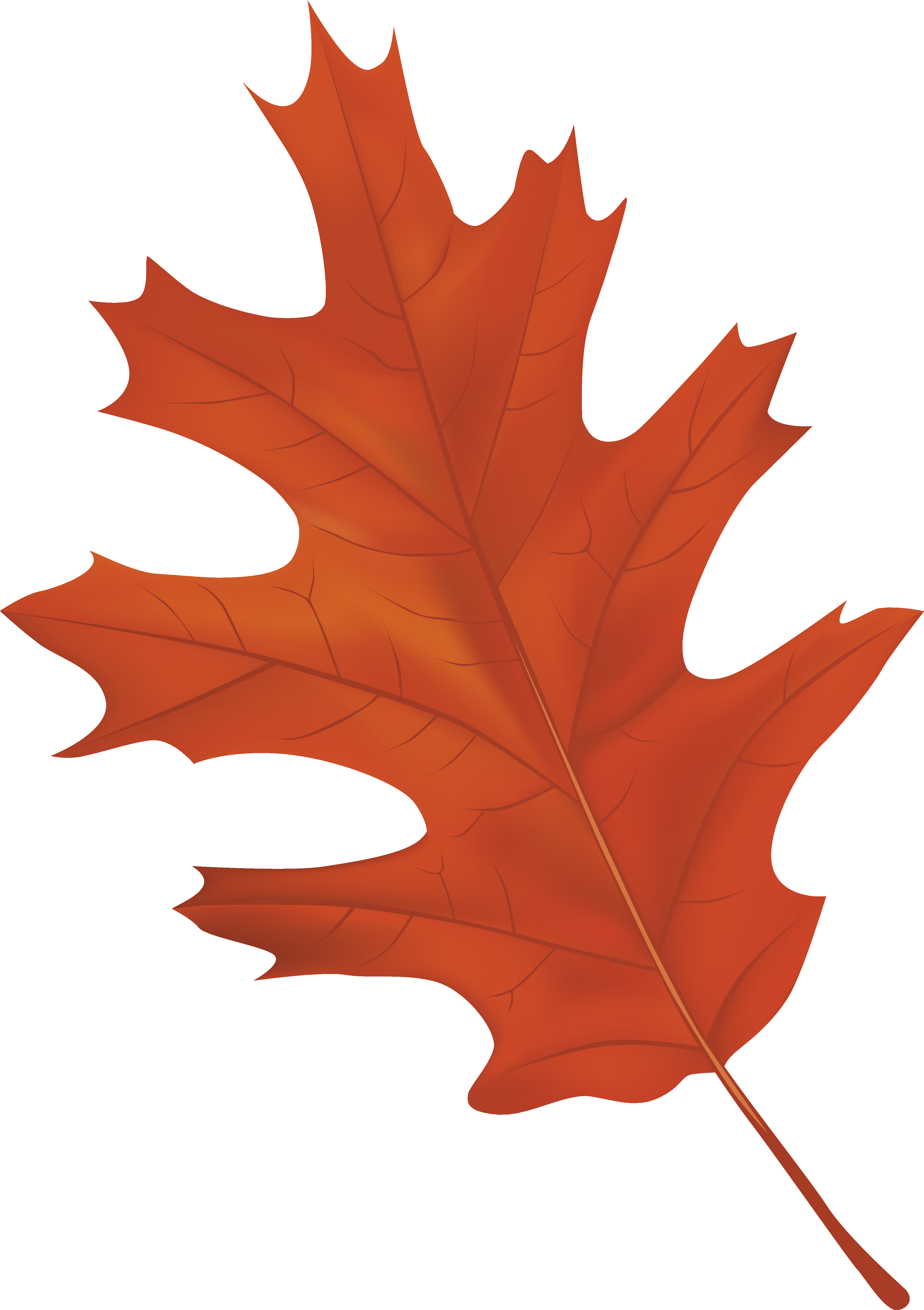Download Brown Autumn Leaf Png Clipart Image - Autumn Leaf Clipart Png ...