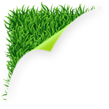 Download Corner Grass Png PNG Image with No Background - PNGkey.com