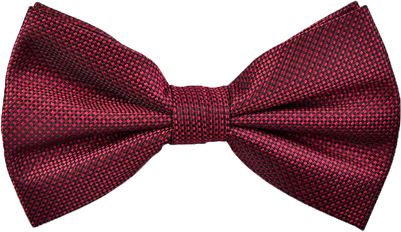 Textured Robin Bow Tie In Burgundy Red - Zoom Video Communications ...