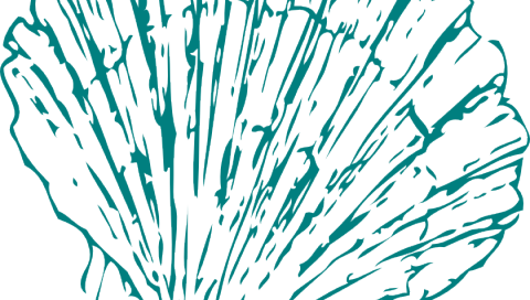 Download Svg Freeuse Cliparts X Carwad Net - Cape Cod Scallop Shell ...