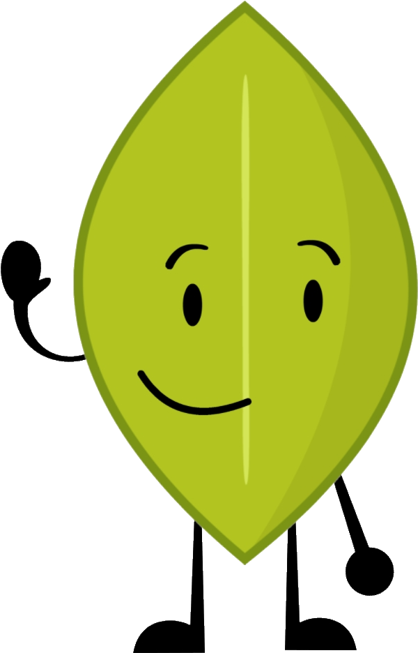 Download Object Oppose Leaf - Bfdi Leafy Voe PNG Image with No ...