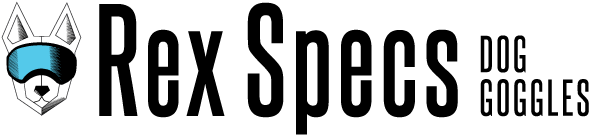 Download Rex-specs - Rex Specs Logo PNG Image with No Background ...