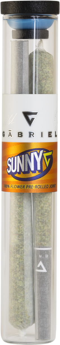 Download Sunny G - Bottle PNG Image with No Background - PNGkey.com
