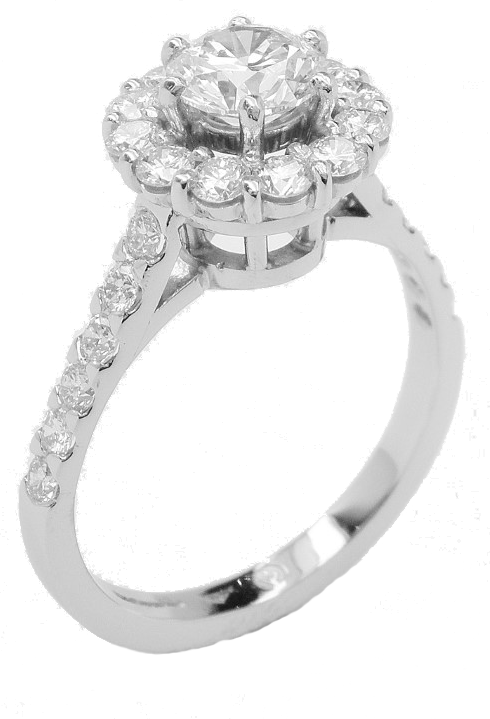 Download Alan P Fulton PNG Image with No Background - PNGkey.com