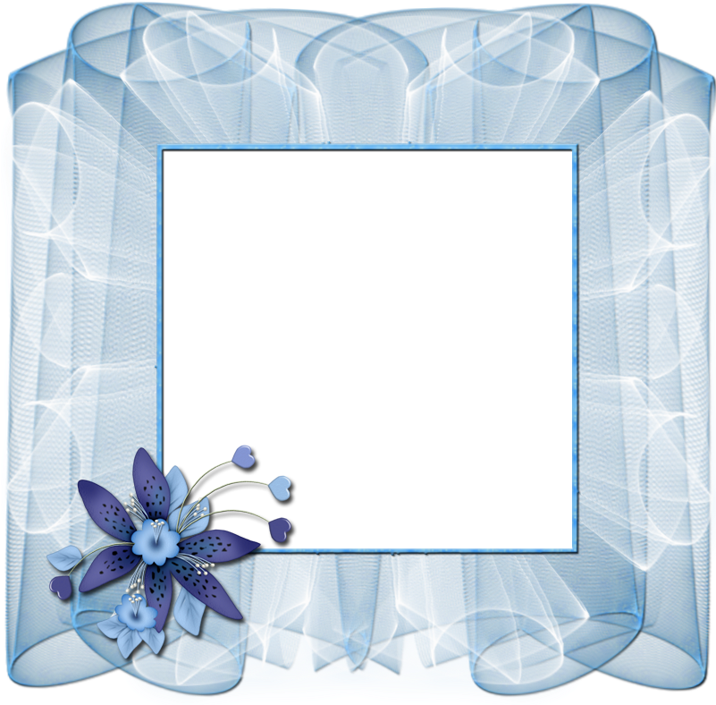 Beautiful Transparent Blue Frame With Flower Gallery - Blue Flower ...