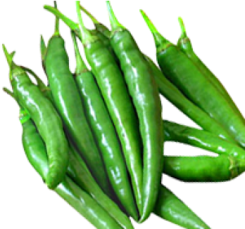 Download Green Chilli - Vegetable Combo Pack-5 Types Vegetable Seeds ...