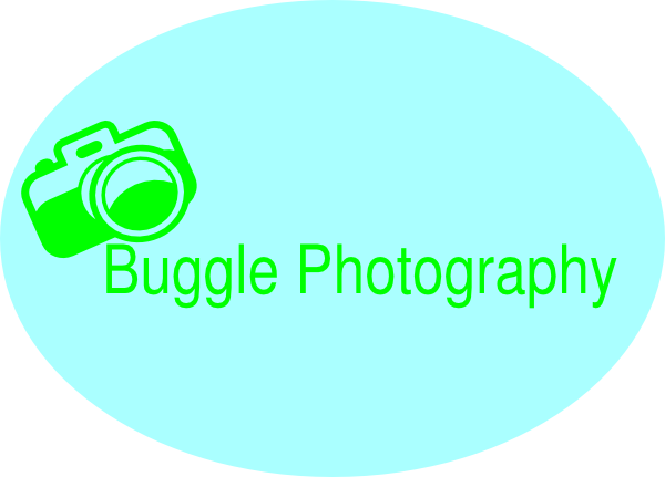 Download How To Set Use Buggle Photography Logo Clipart PNG Image with ...