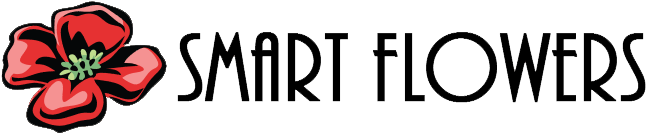 Download Gaining Power And Enlightenment With St Mug PNG Image with No ...