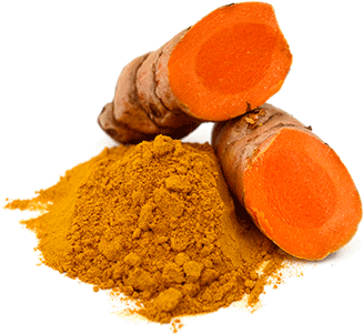Download Turmeric Transparent PNG Image with No Background - PNGkey.com
