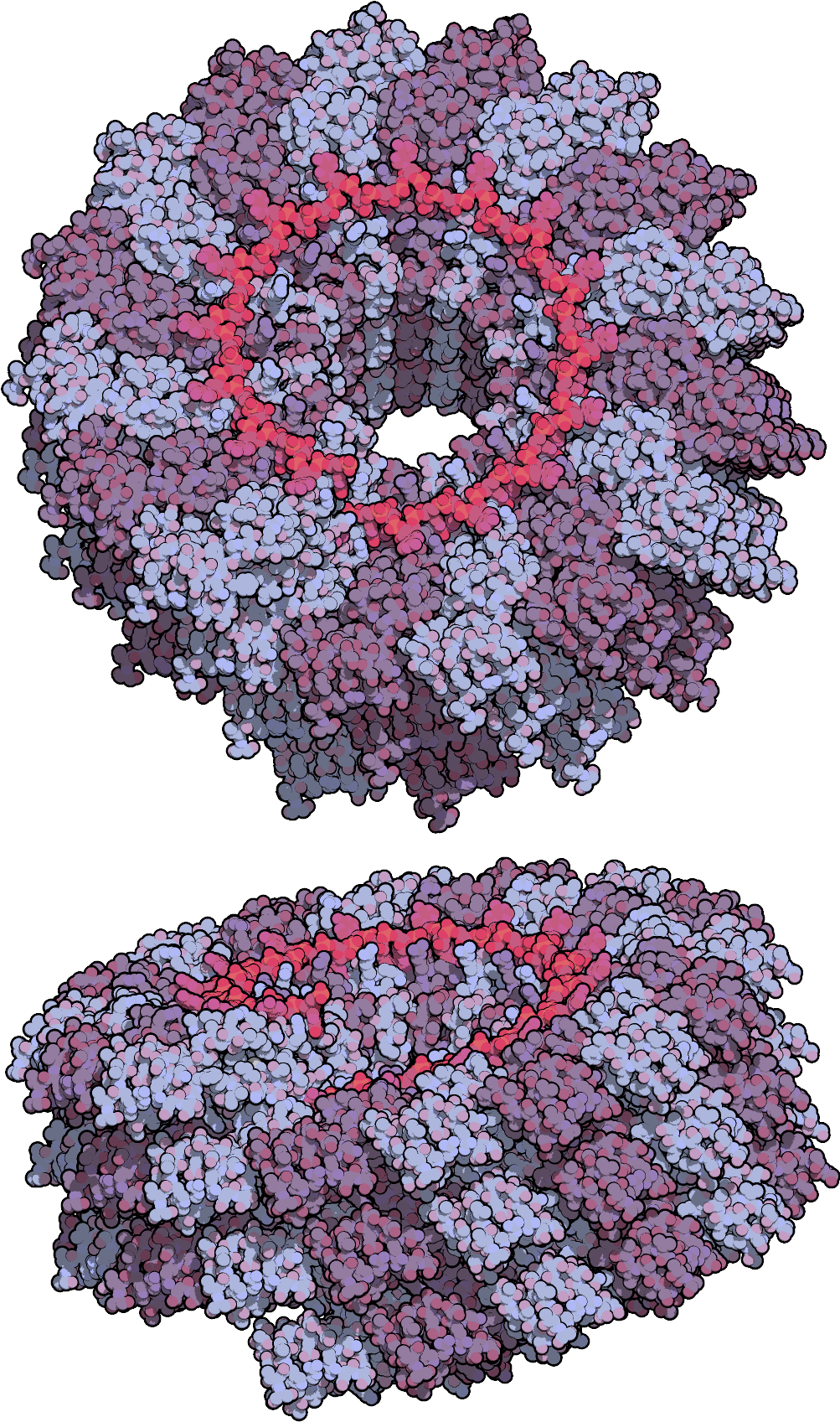 Download Tobacco Mosaic Virus Tmv2 - Тютюнова Мозаїка PNG Image with No ...